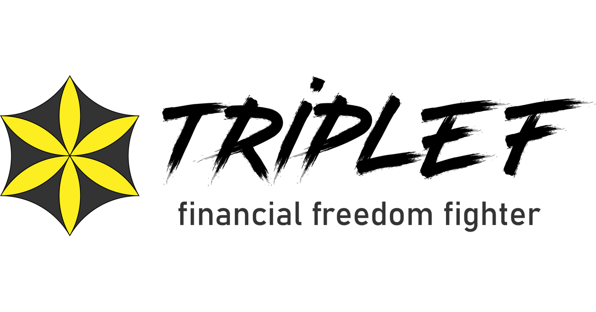 About – Financial Freedom Fighter